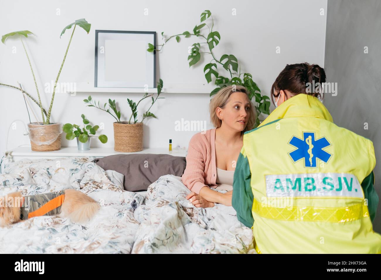 Doctor examining patient at home Stock Photo - Alamy