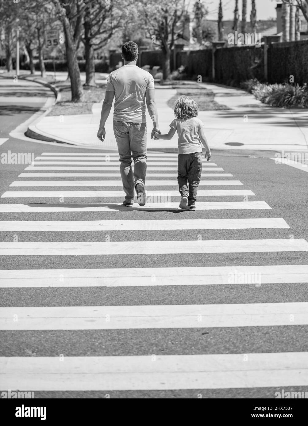 father leading his son through zebra crossing, togetherness Stock Photo ...