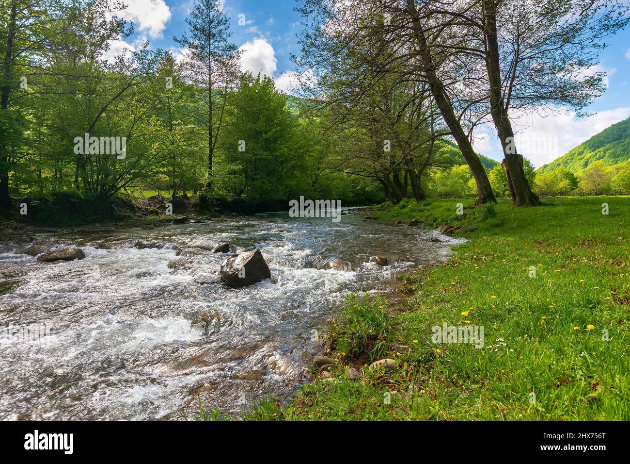 small mountain river flows through the valley. beautiful nature ...