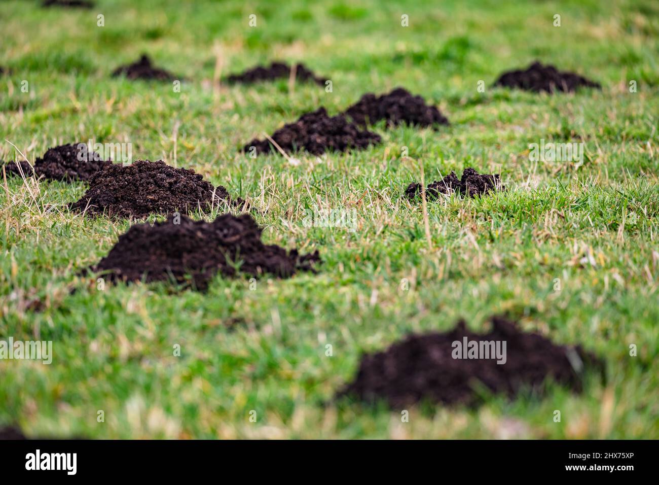 Mound of earth hi-res stock photography and images - Alamy