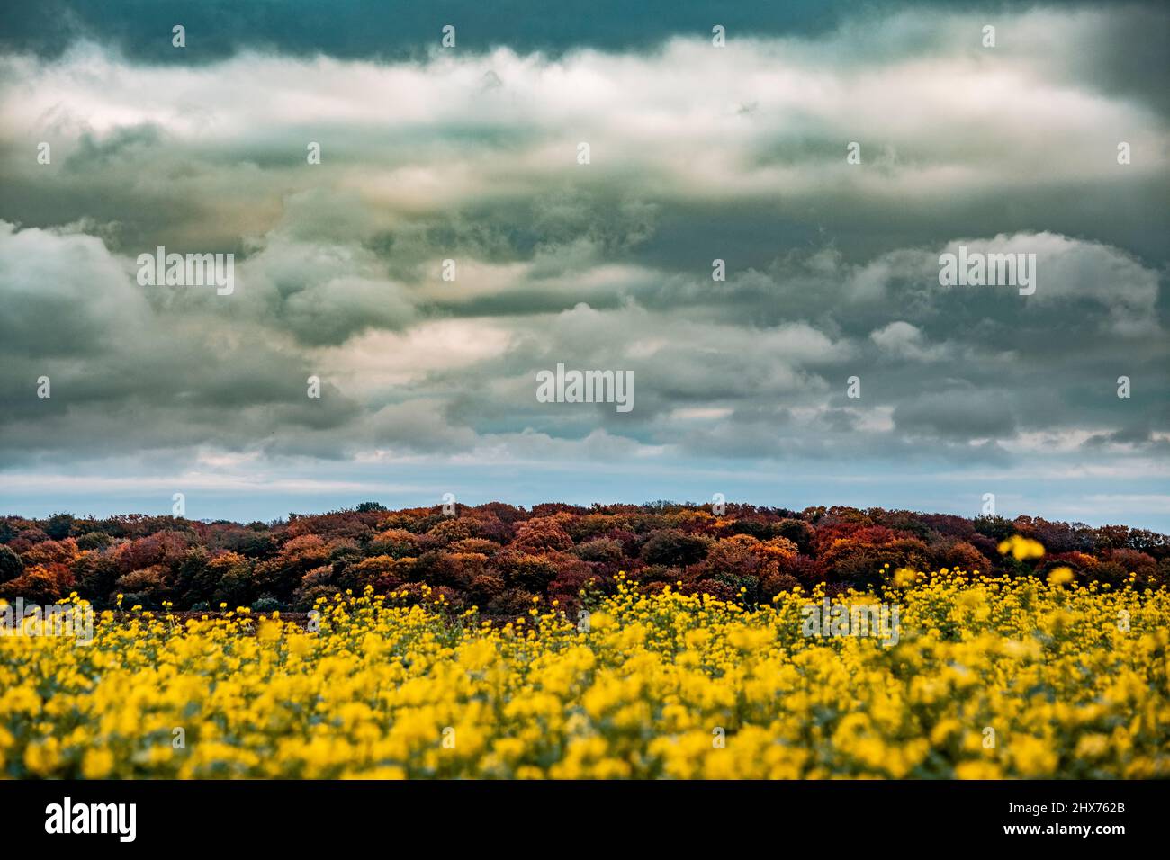 Dramatic colours hi-res stock photography and images - Alamy