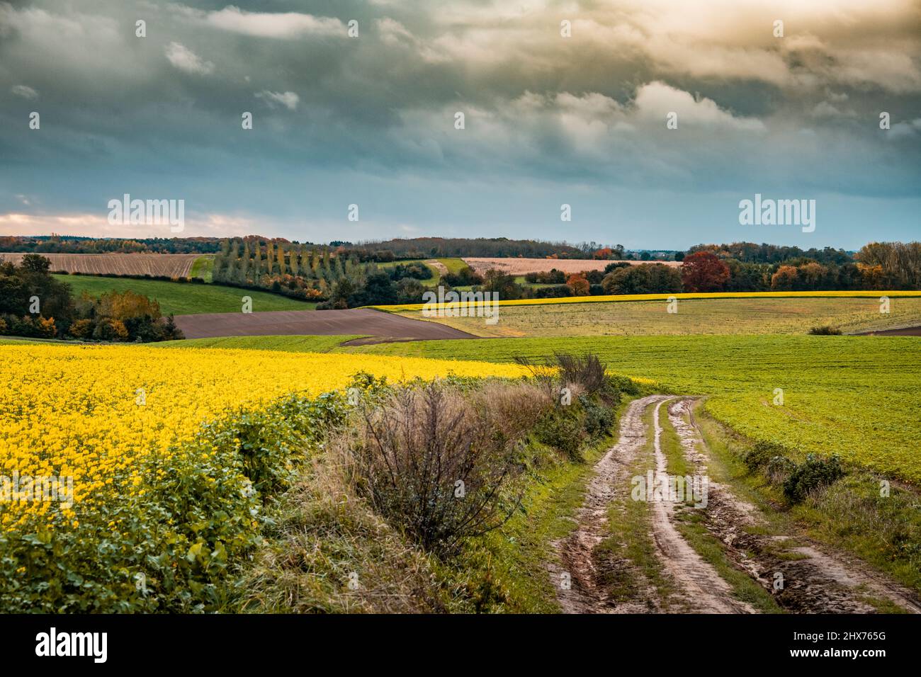 Autumn rural road hi-res stock photography and images - Alamy