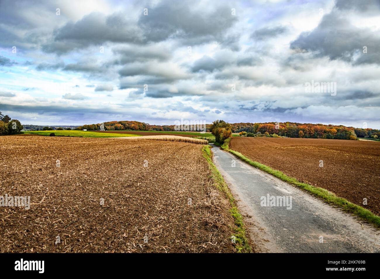 rural autumn panorama Stock Photo - Alamy