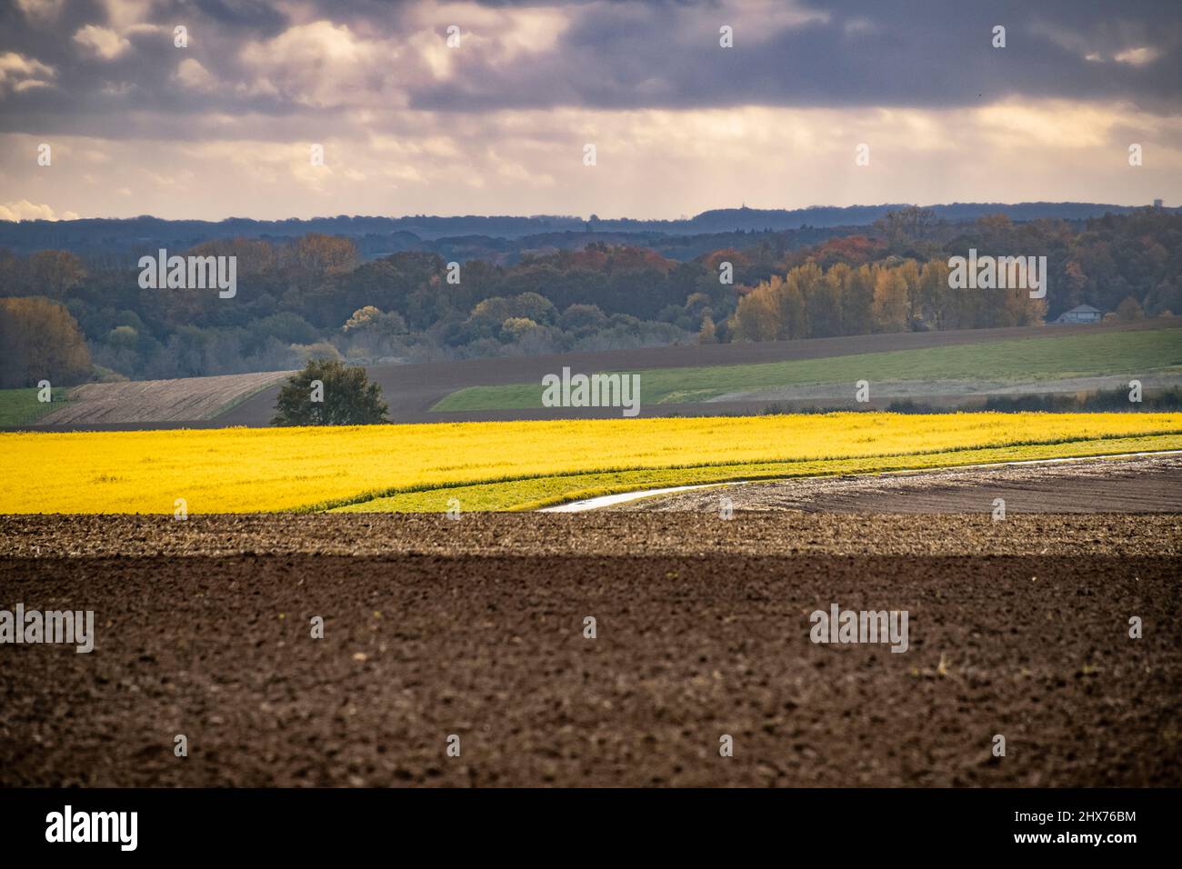 Rustic harvesting hi-res stock photography and images - Alamy