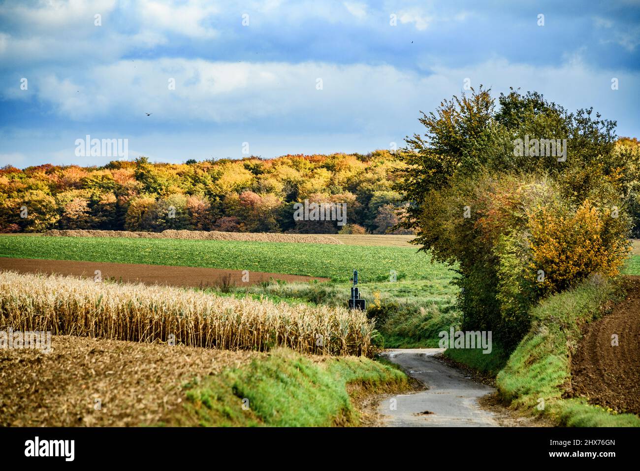 Flanders trail hi-res stock photography and images - Alamy