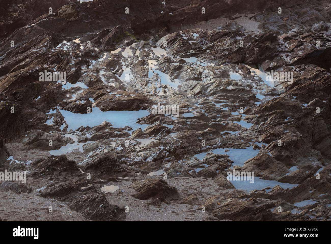 Rock pools at low tide Stock Photo - Alamy