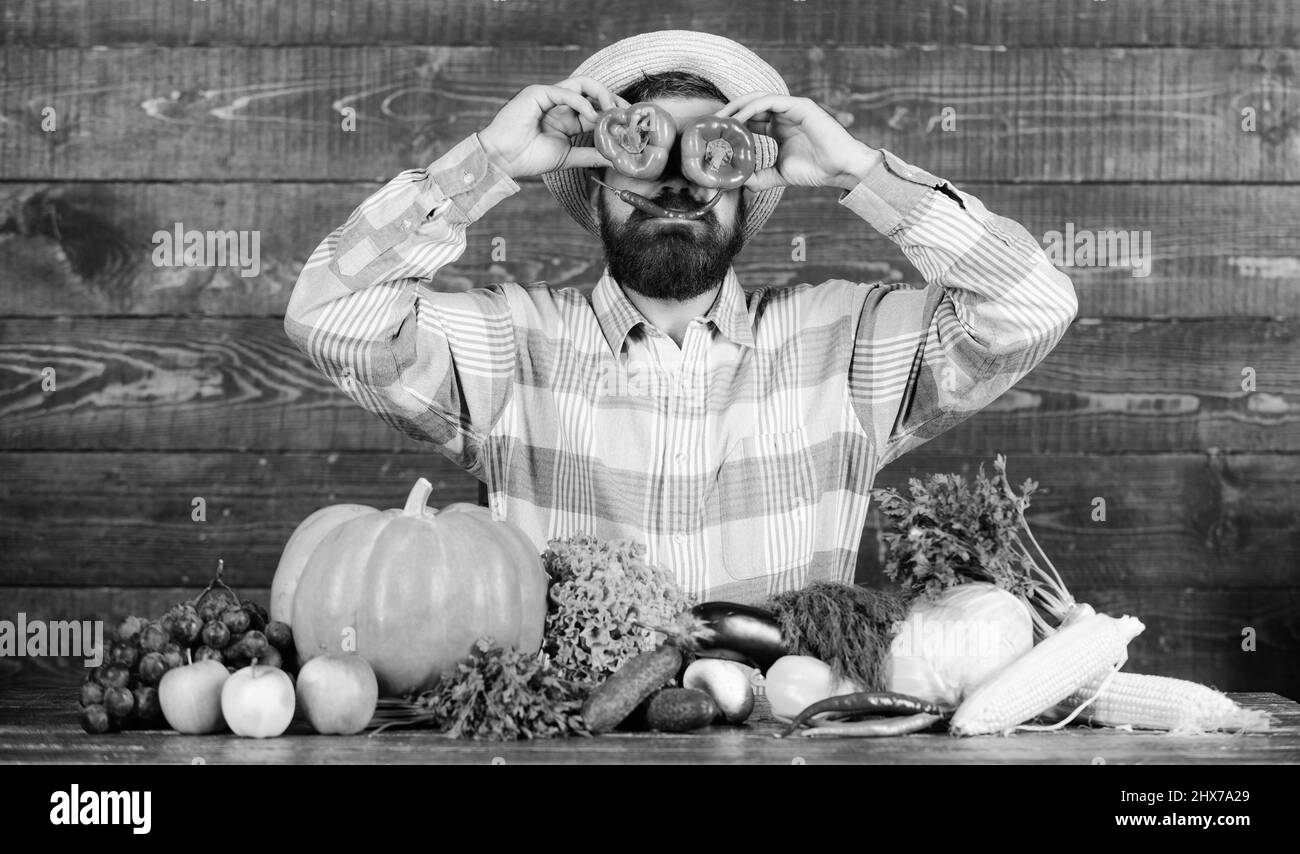 Bearded farmer hold peppers in front of face. Pepper harvest concept ...