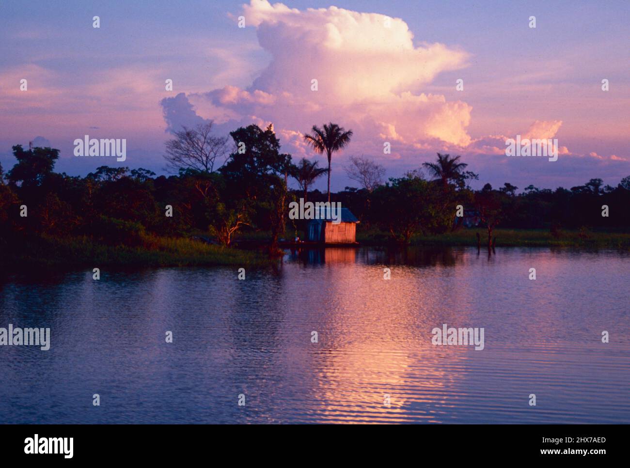 Houseboat on River Amazon, near Manaus, Brazil Stock Photo - Alamy
