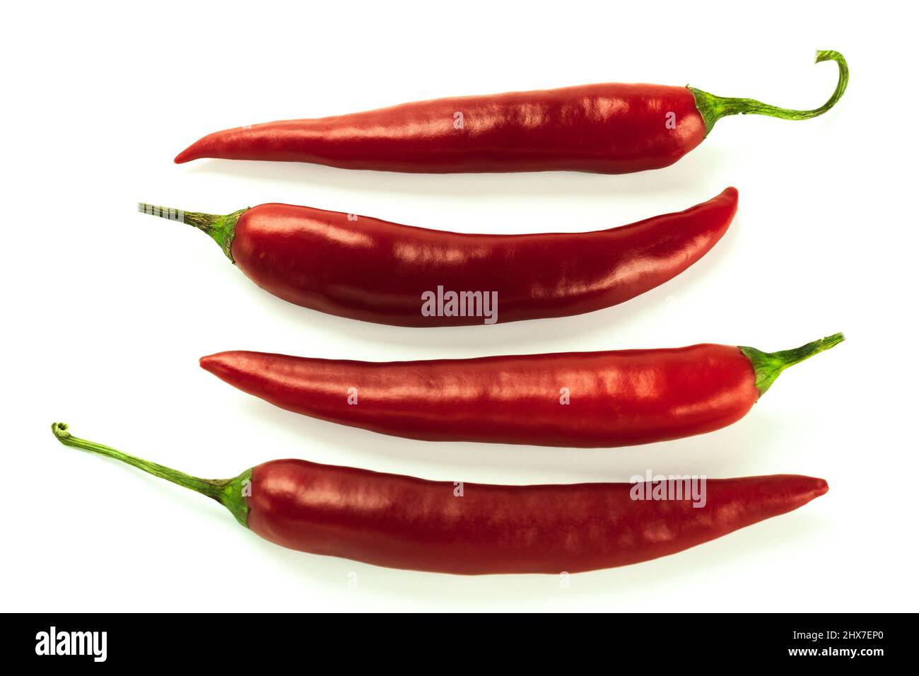 Red hot pepper on a white background. Background with space for text ...