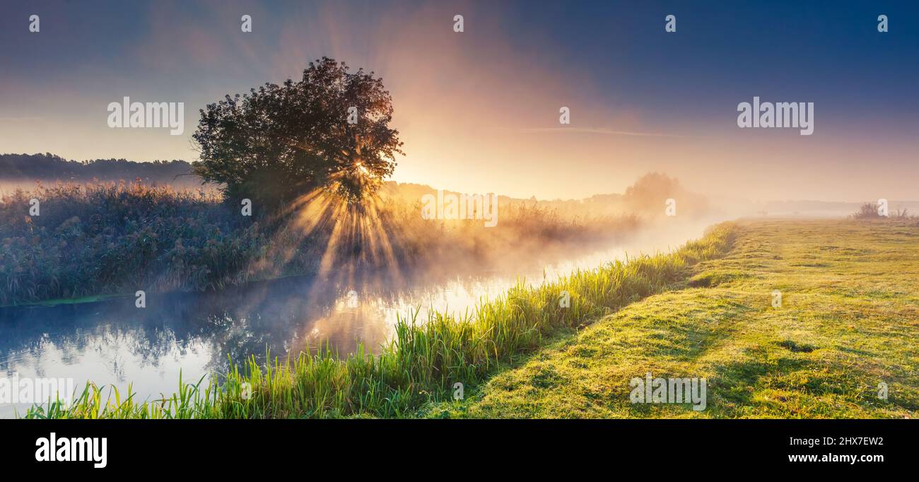 Fantastic foggy river with fresh green grass in the sunlight. Sun beams ...