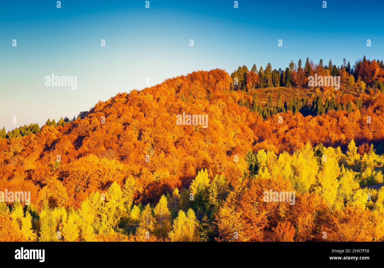 Majestic colorful landscape with sunny beams at mountain valley ...