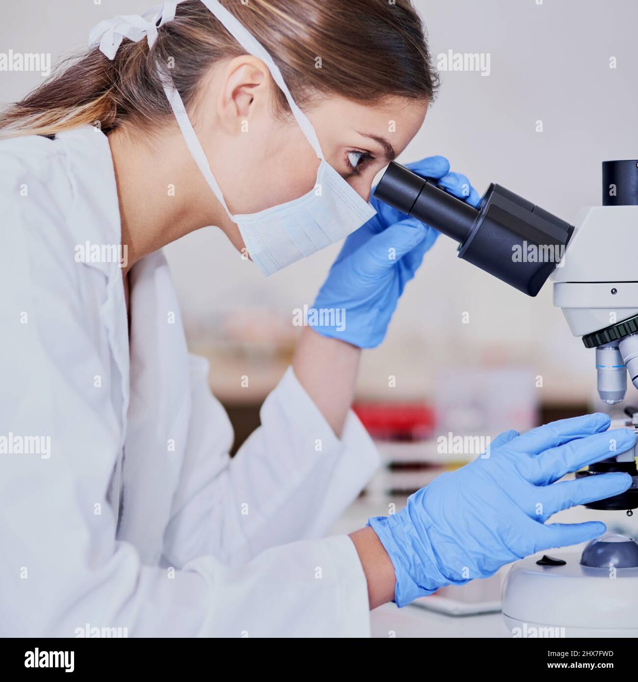 Searching for microscopic clues. Shot of a scientist using a microscope ...