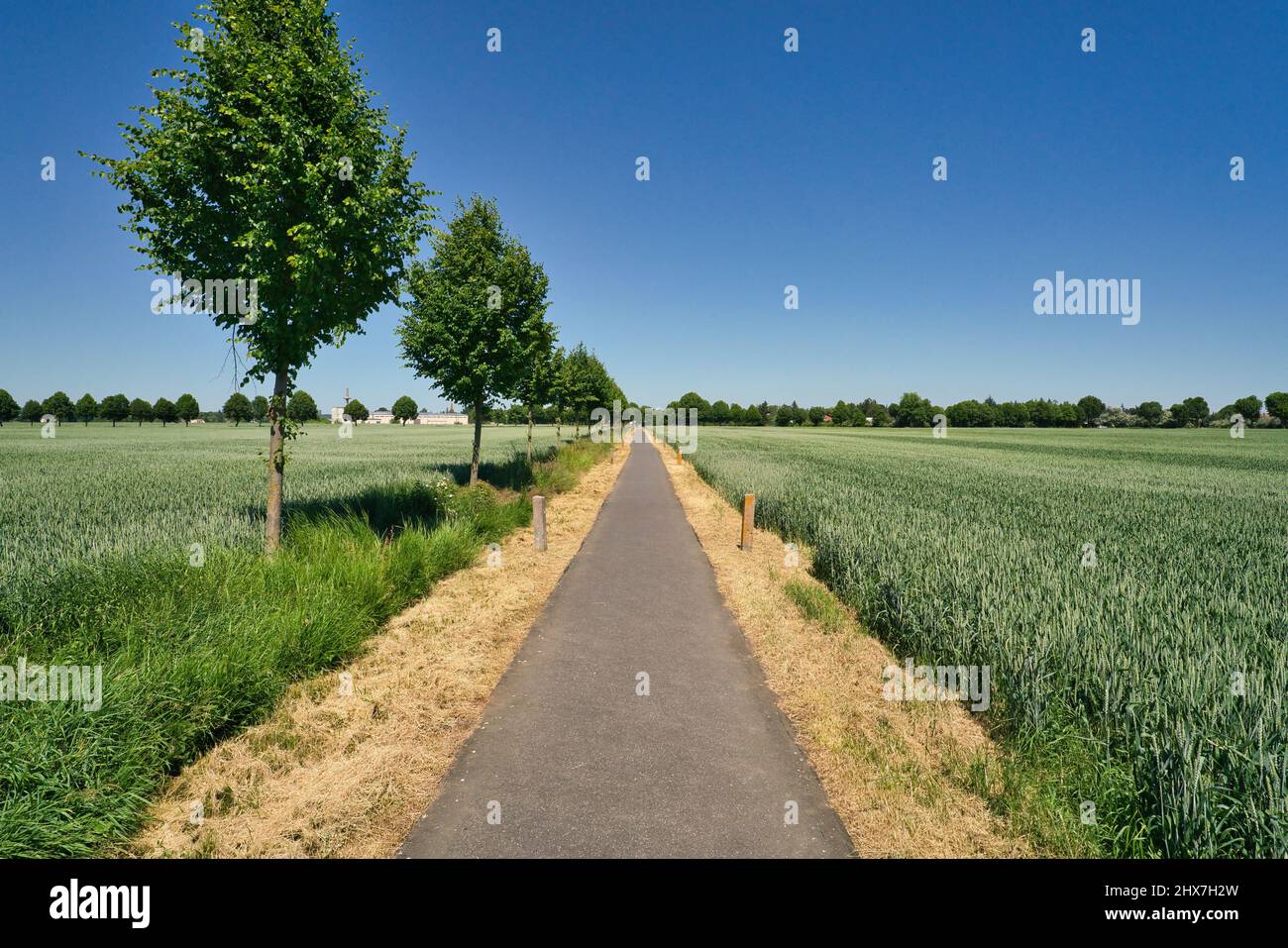 A Narrow bike path between trees along wide agriculture fields in ...