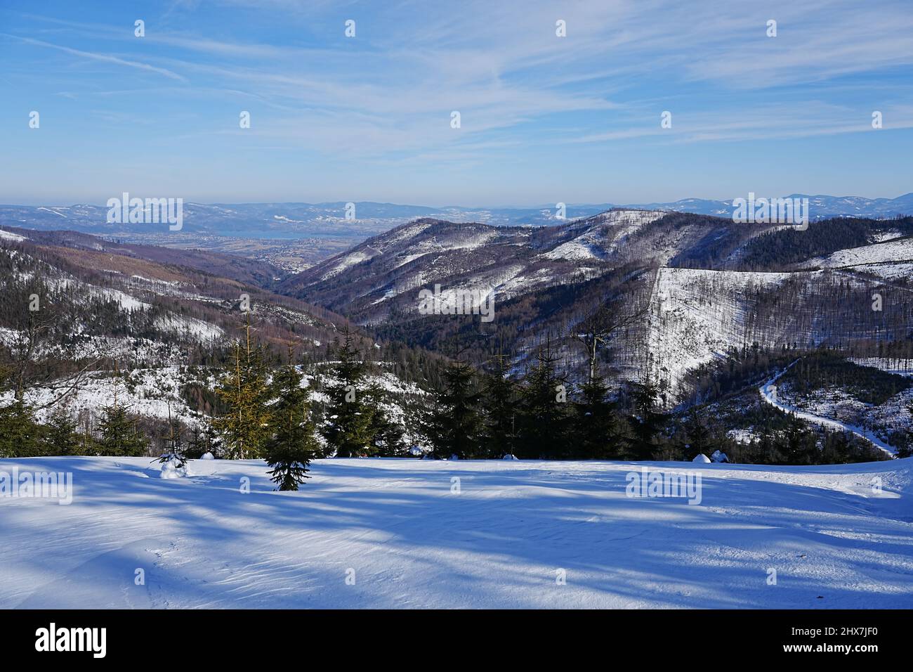 Snowy meadow at Silesian Beskid Mountains range on european Bialy Krzyz ...