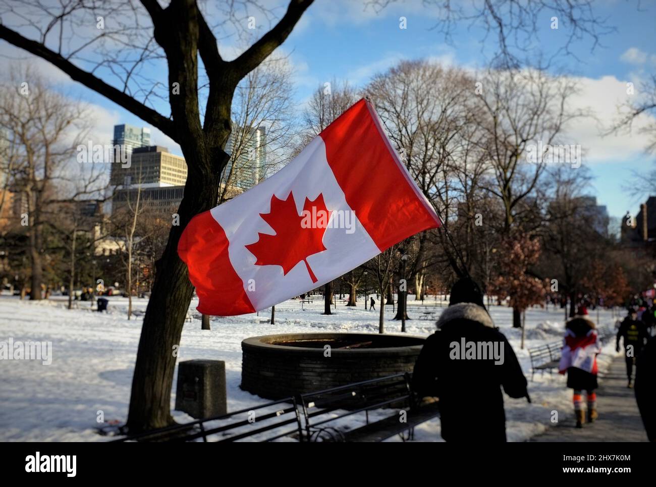People at a Freedom Rally in Toronto, Canada Stock Photo - Alamy