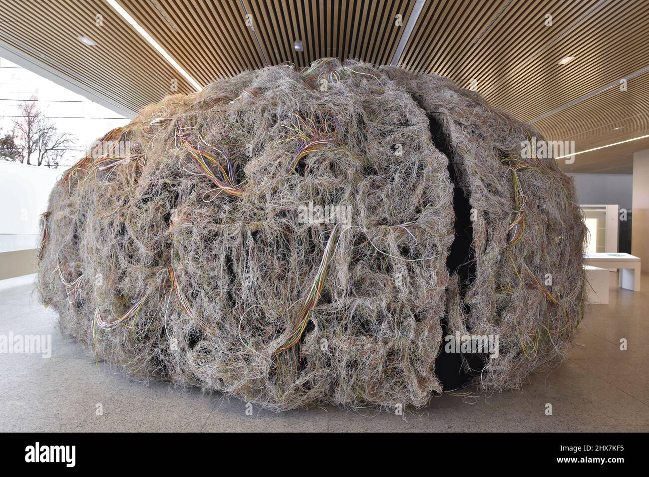 Brain - cable installation by Spanish artist Daniel Canogar displayed ...
