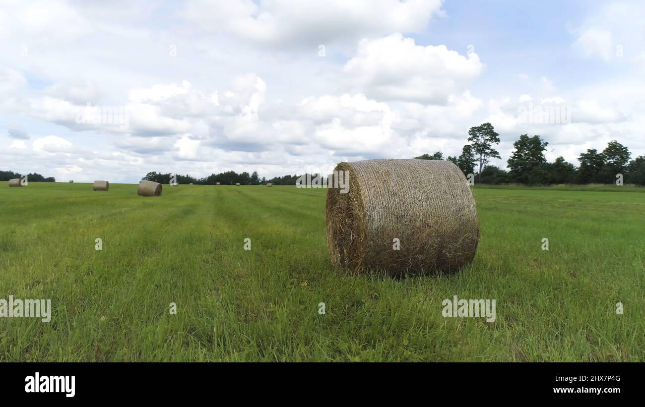 Aerial view mowed field wheat hi-res stock photography and images - Alamy