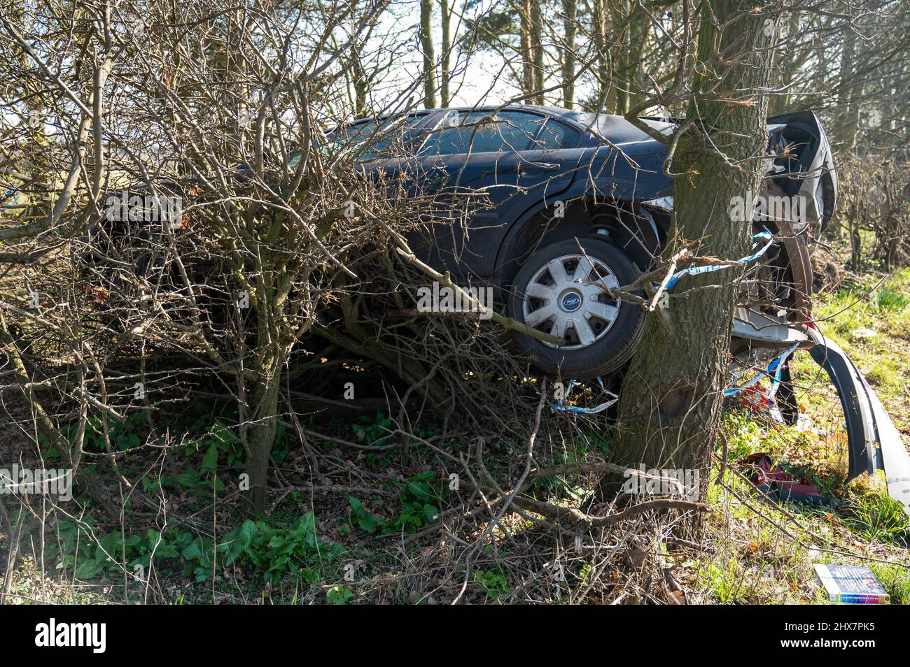 Ford Mondeo crashed into trees on a busy Norfolk road (police are aware ...