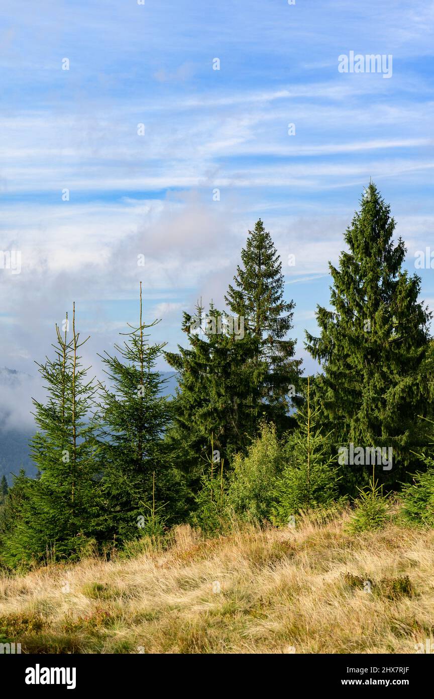Landscapes of the Ukrainian Carpathians, a trip to the mountain ranges ...