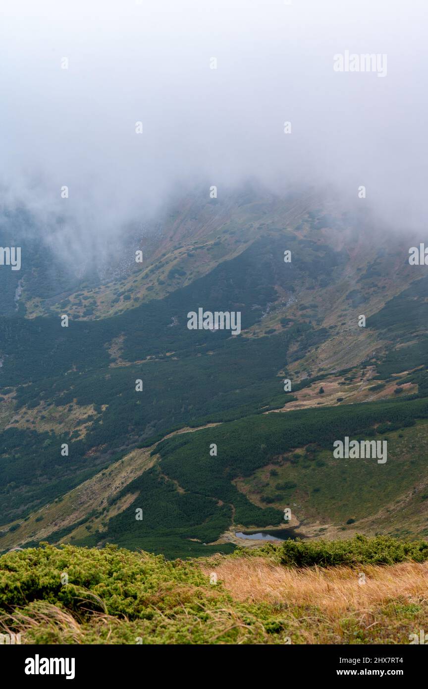 Panoramas of the Carpathians at dawn, dreamy panoramas of the mountains ...