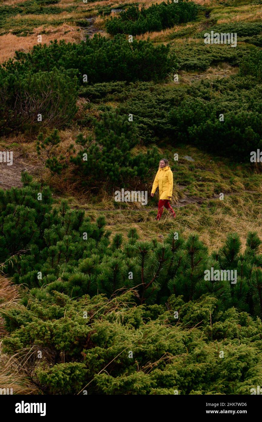 Woman is Mount Turkul, bright clothes in the mountain Stock Photo - Alamy