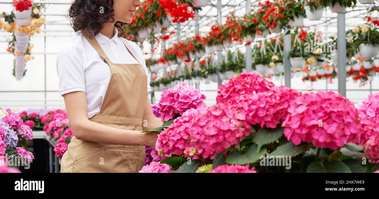Side view crop of young brunette woman in special beige apron caring for beautiful pink ...