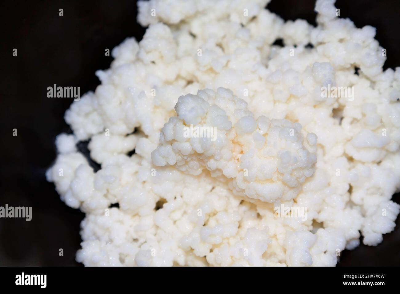 Kefir russia hi-res stock photography and images - Alamy