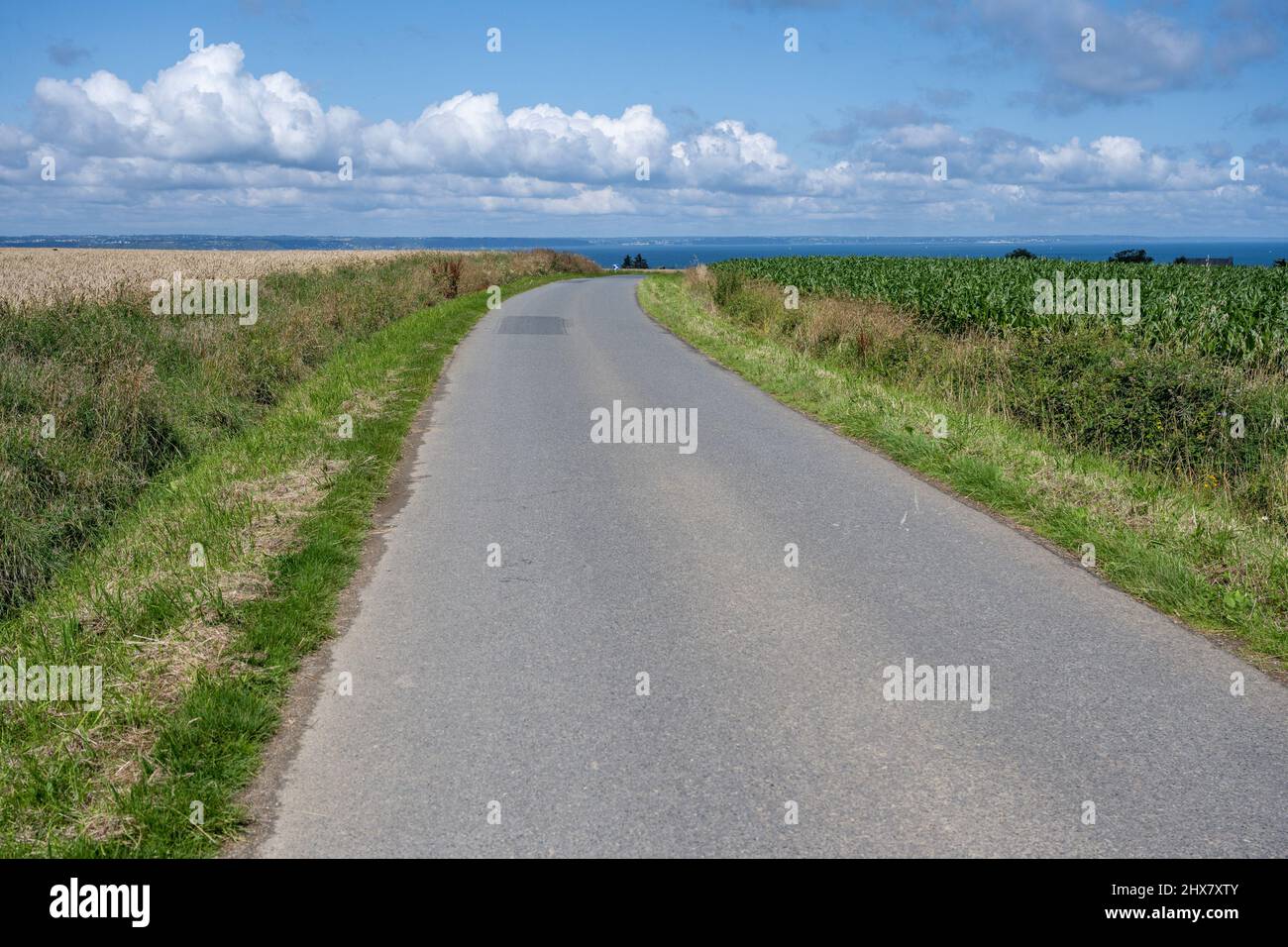 A simple asphalt country road without lane markings leads through flat ...