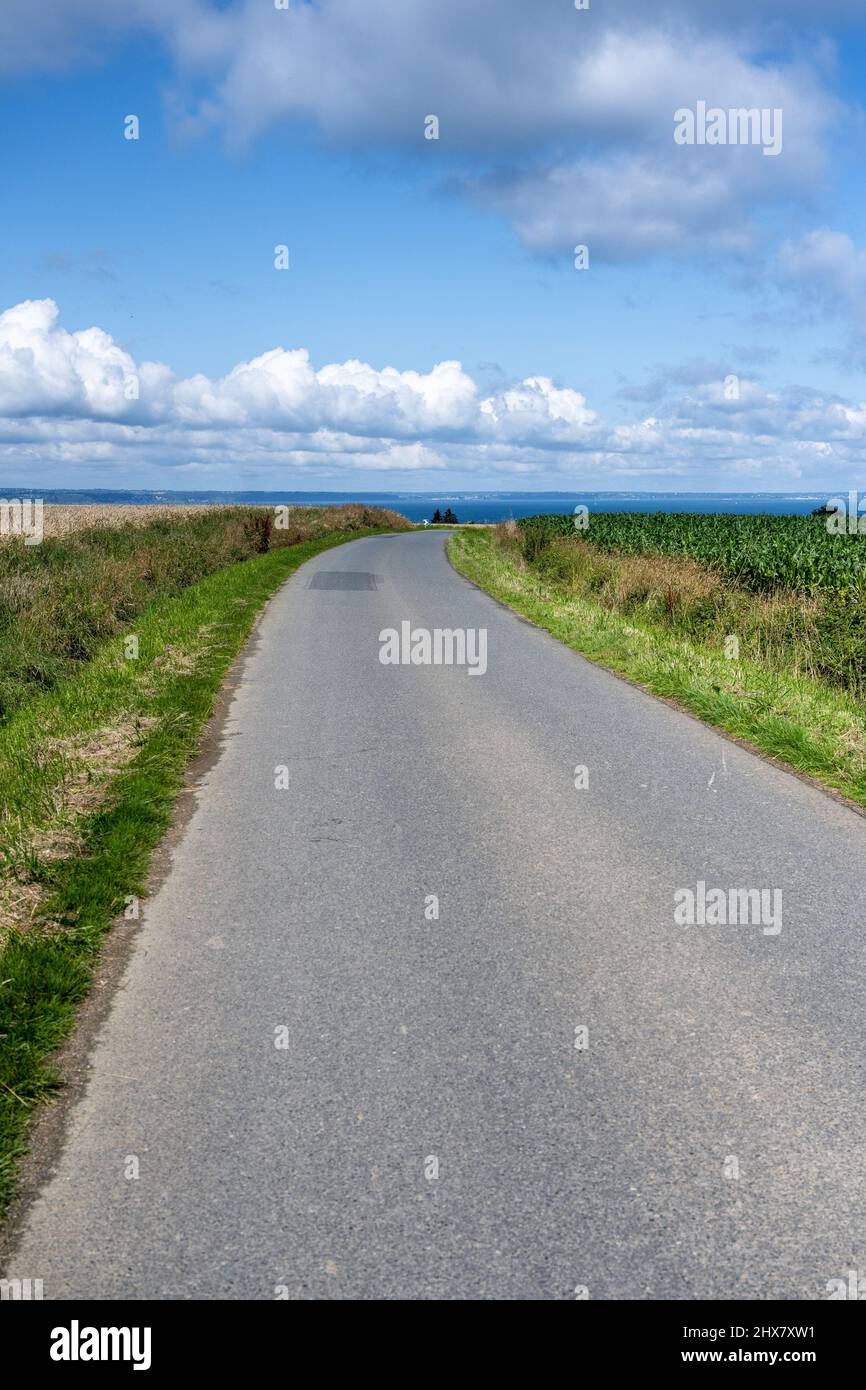 A simple asphalt country road without lane markings leads through flat ...
