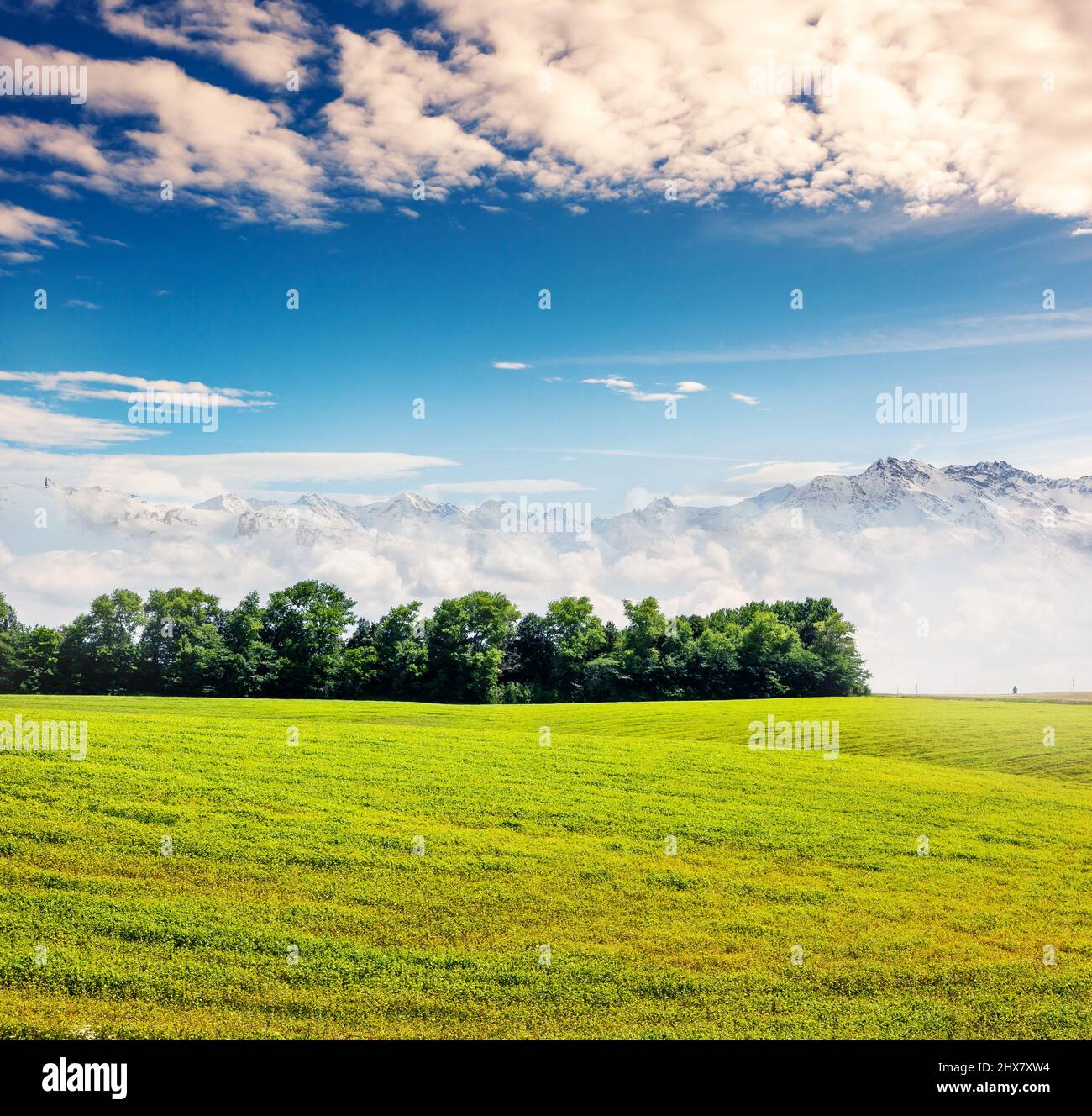 Beautiful sunny day in the field with blue sky. Overcast sky. Ukraine ...
