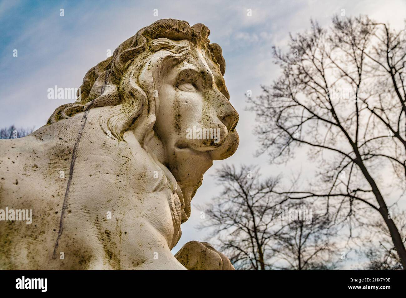Great close-up view of a white weather-beaten lion statue in the garden ...