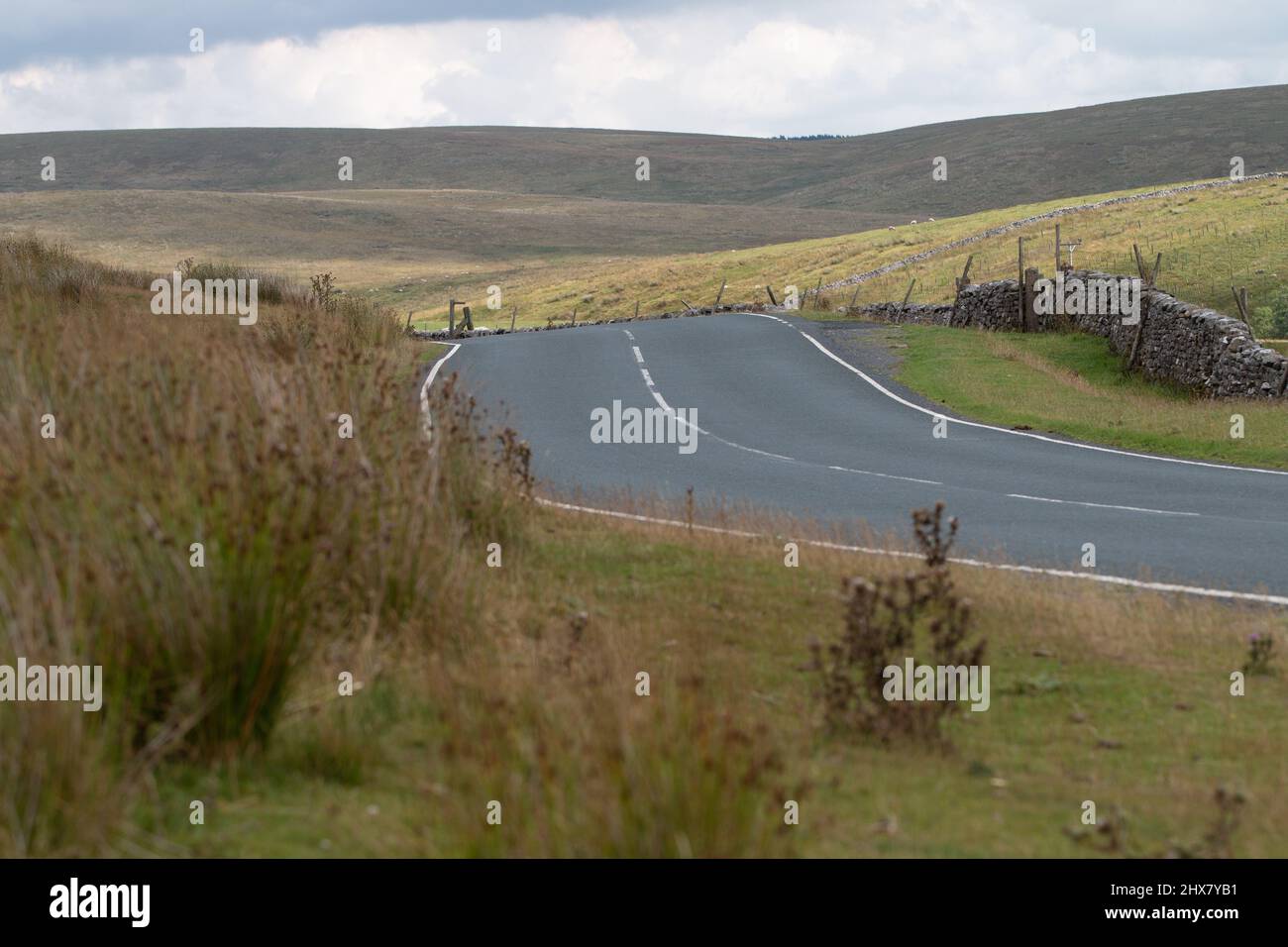 Road runs through green hi-res stock photography and images - Alamy