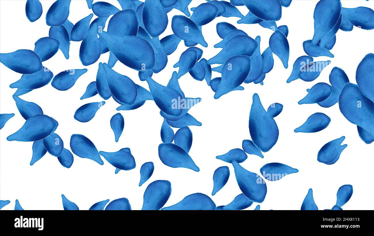 Abstract animation of falling flower petals. Red rose petals falling on ...