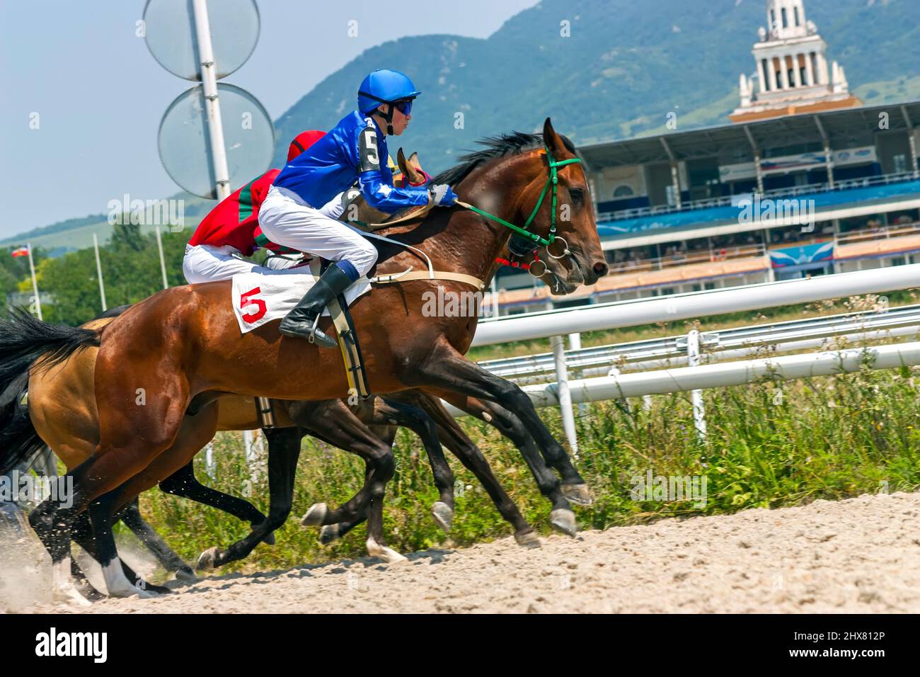 Horse race to a Sprint Prize in Pyatigorsk hippodrome Stock Photo - Alamy