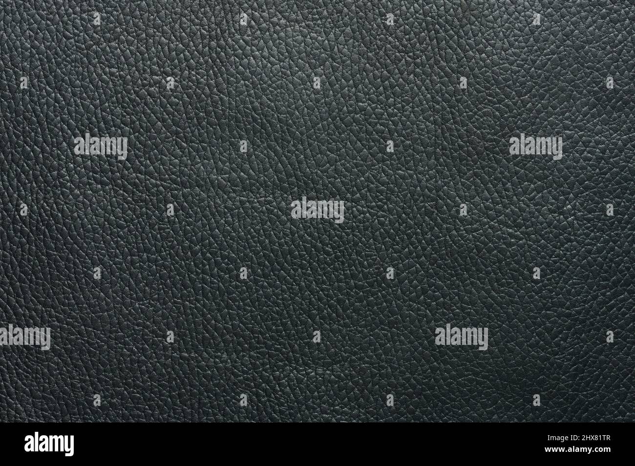 Leather pattern hi-res stock photography and images - Alamy