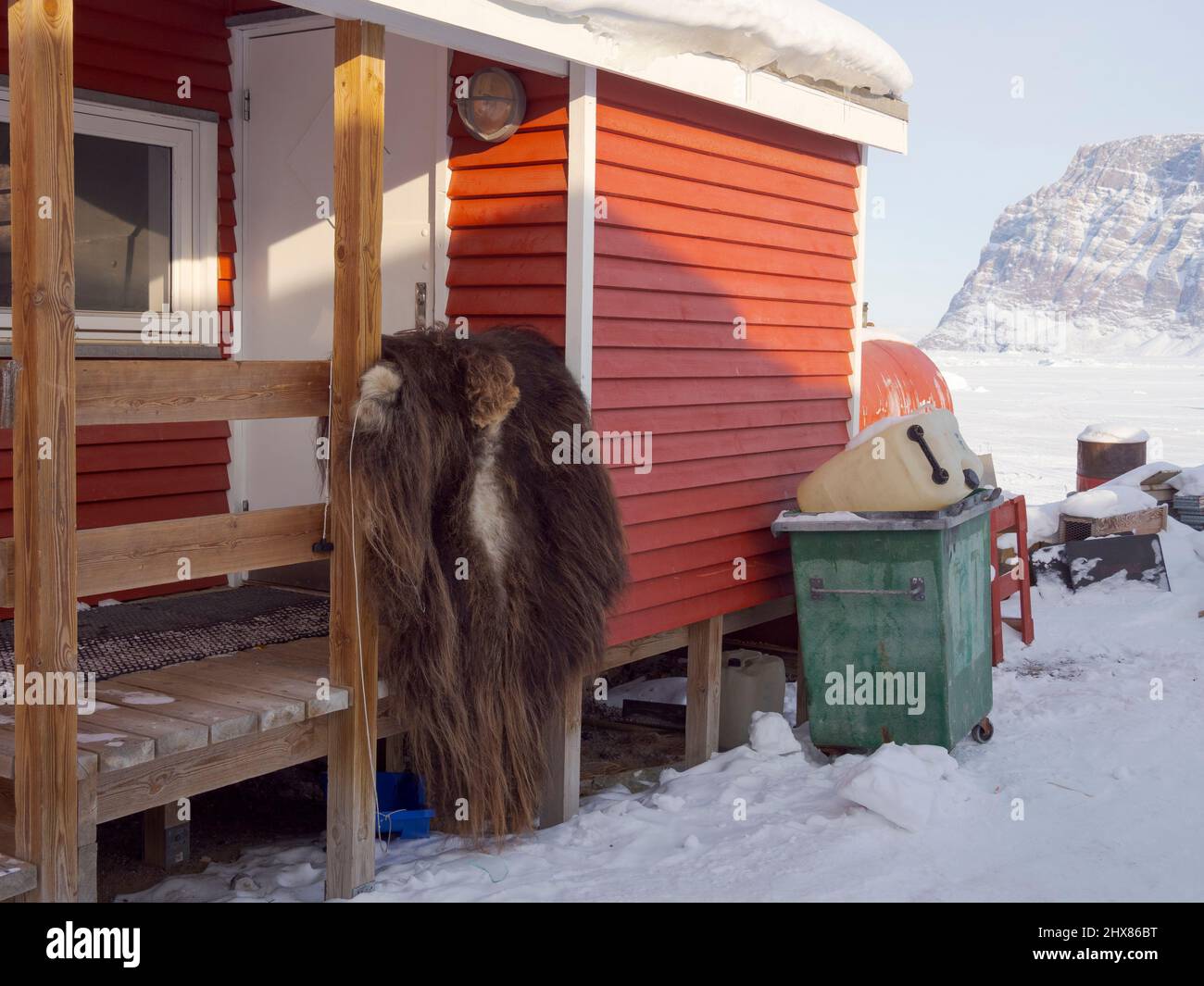 Fur from Musk Ox. Town Uummannaq during winter in northern ...
