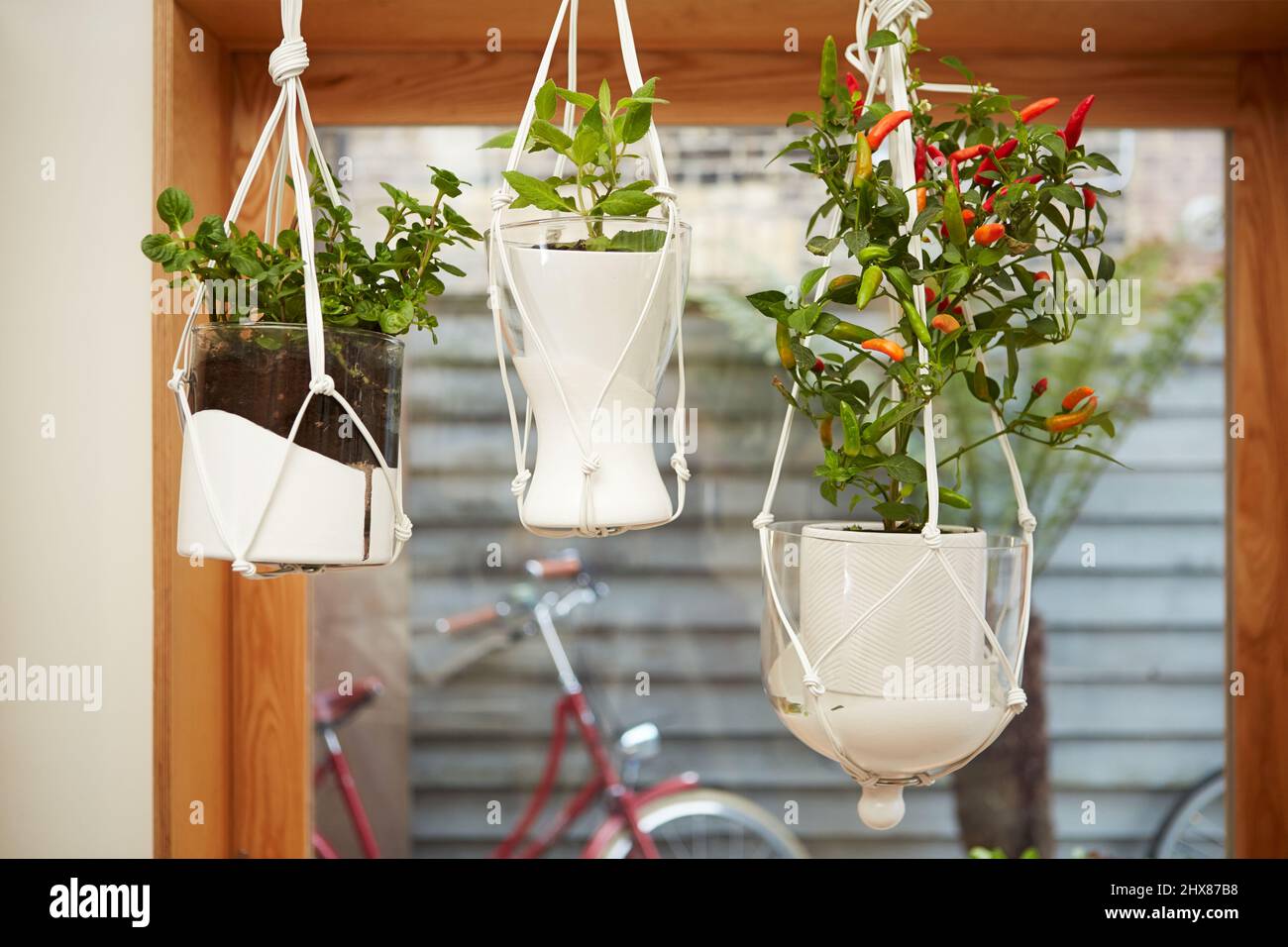 plastic cable tie macrame project alternative main images with m Stock ...