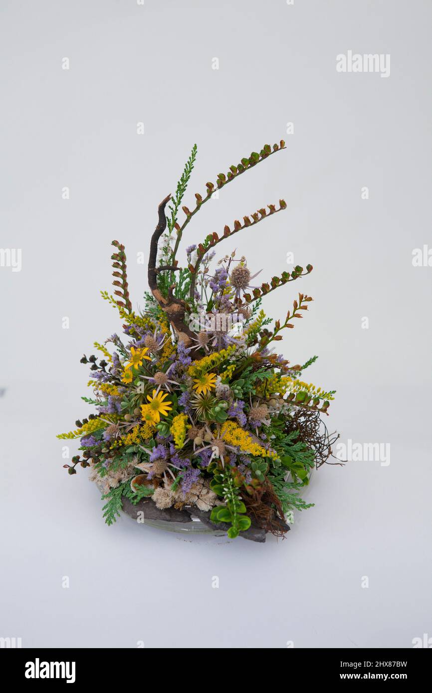Display arrangement collection hi-res stock photography and images - Alamy