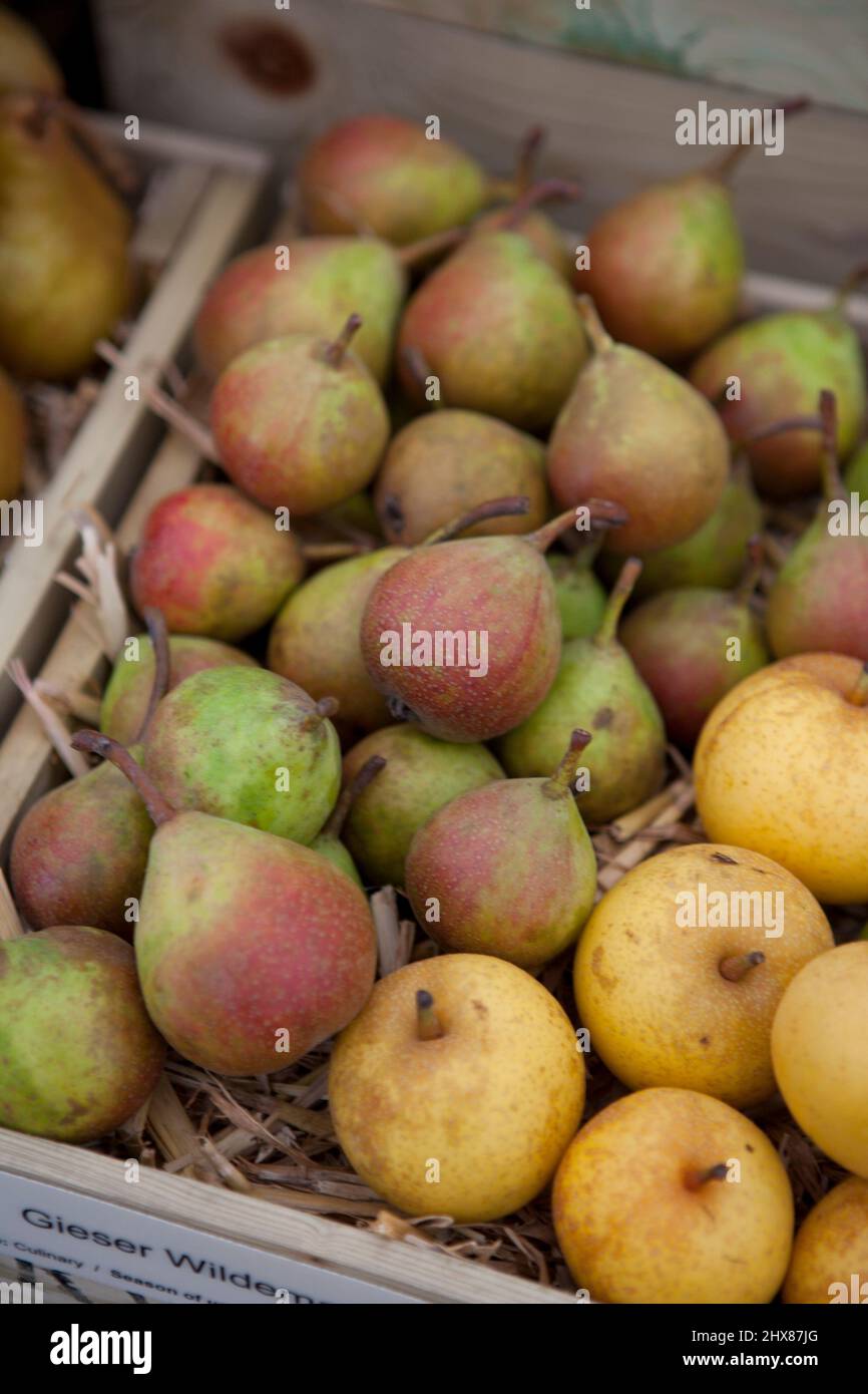 Pear varieties on display at a village fair Stock Photo - Alamy