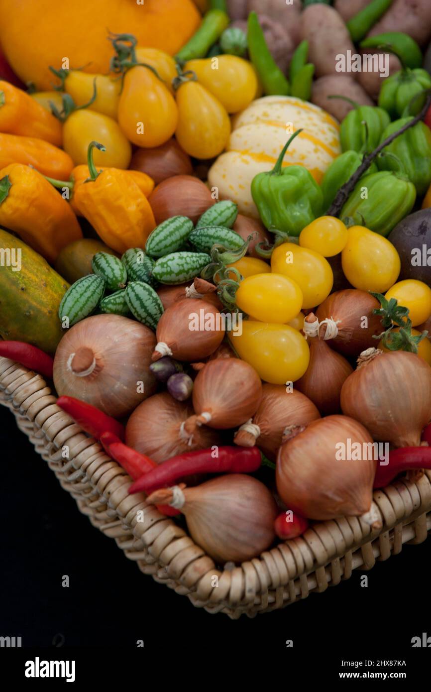 Fresh produce on display at a village fair Stock Photo - Alamy
