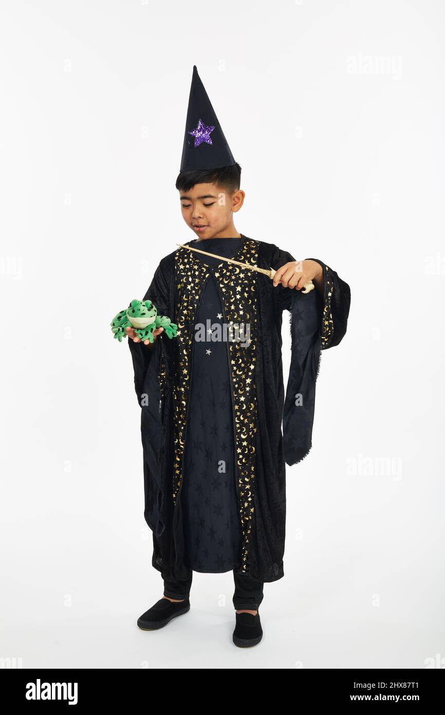 Wizard with a magic wand and a Toad Stock Photo - Alamy