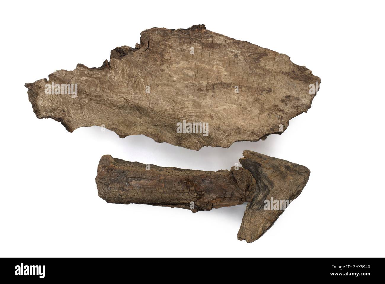 Close up of old weathered tree bark which forms the shape of a sign and ...