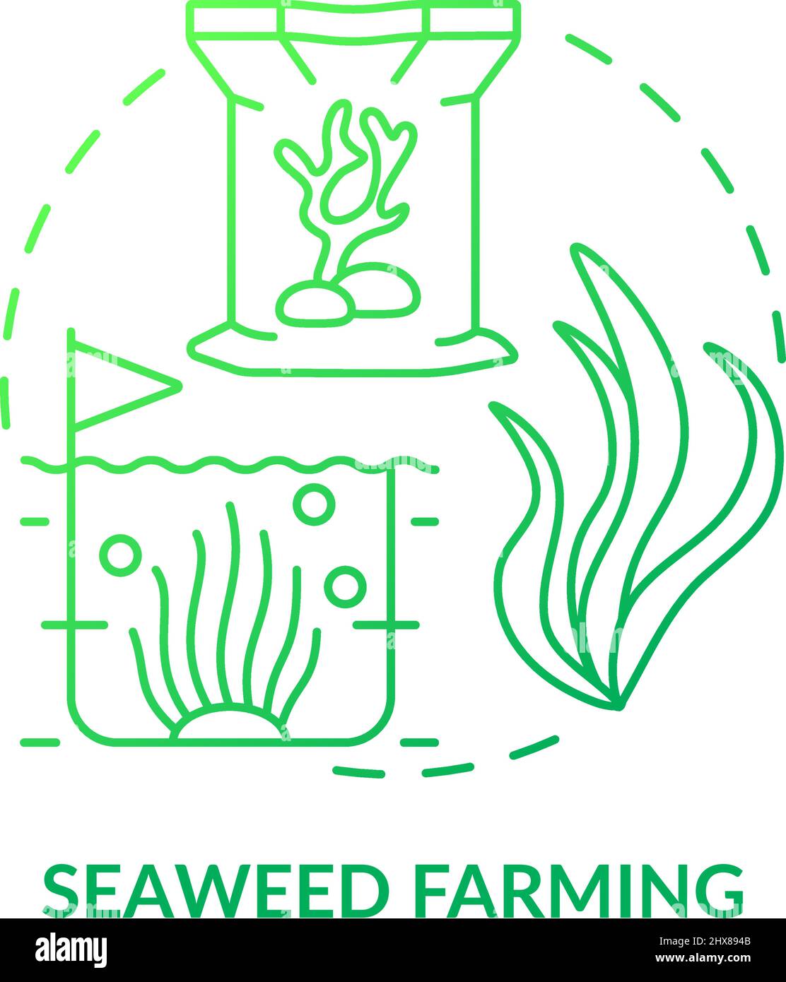 Seaweed farming green gradient concept icon Stock Vector Image & Art - Alamy