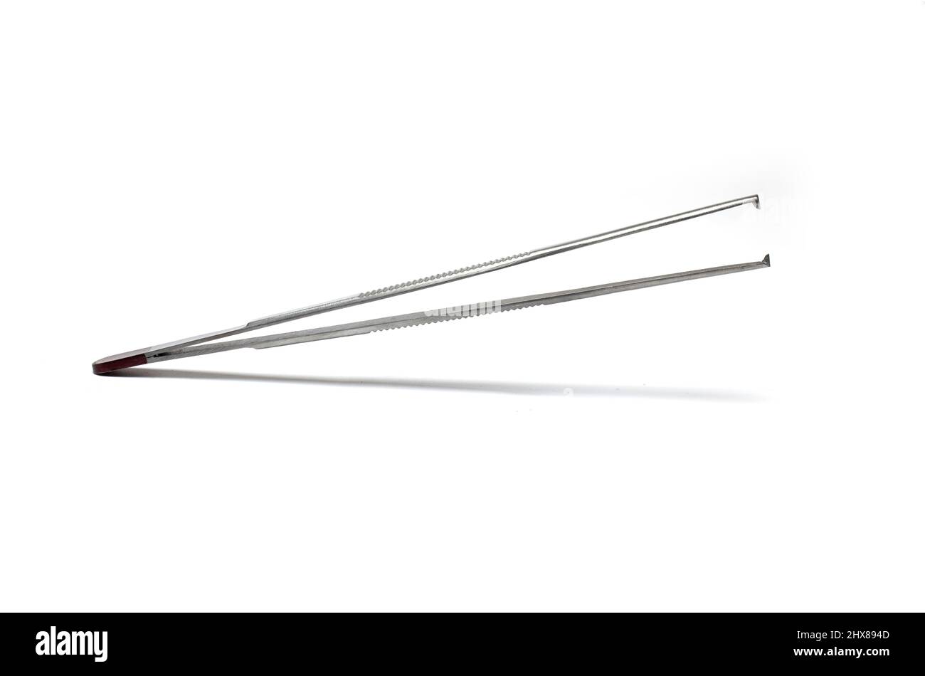 Close up of surgical tweezers of medical instrument for doctors to ...