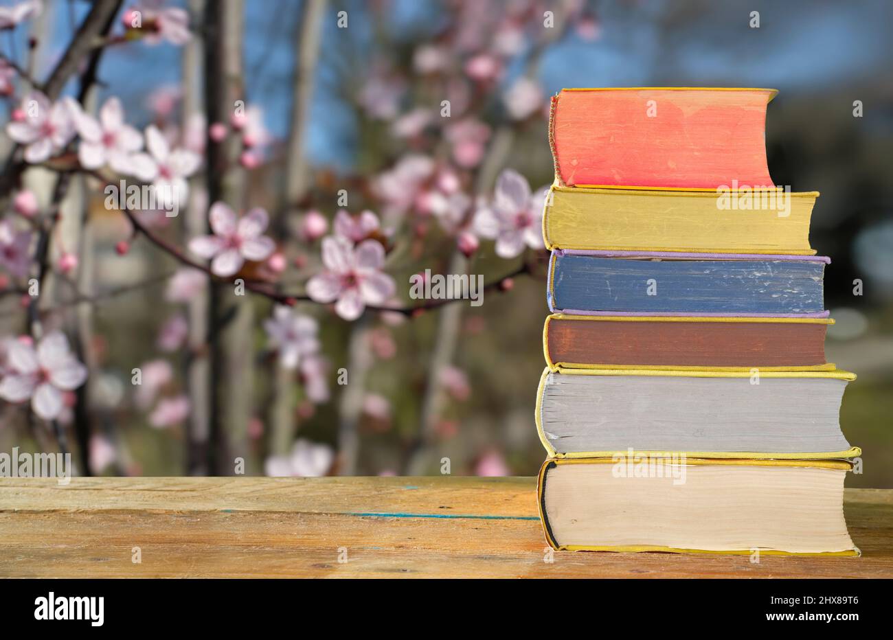 stack of books with blurred spring flowers in the background free copy ...