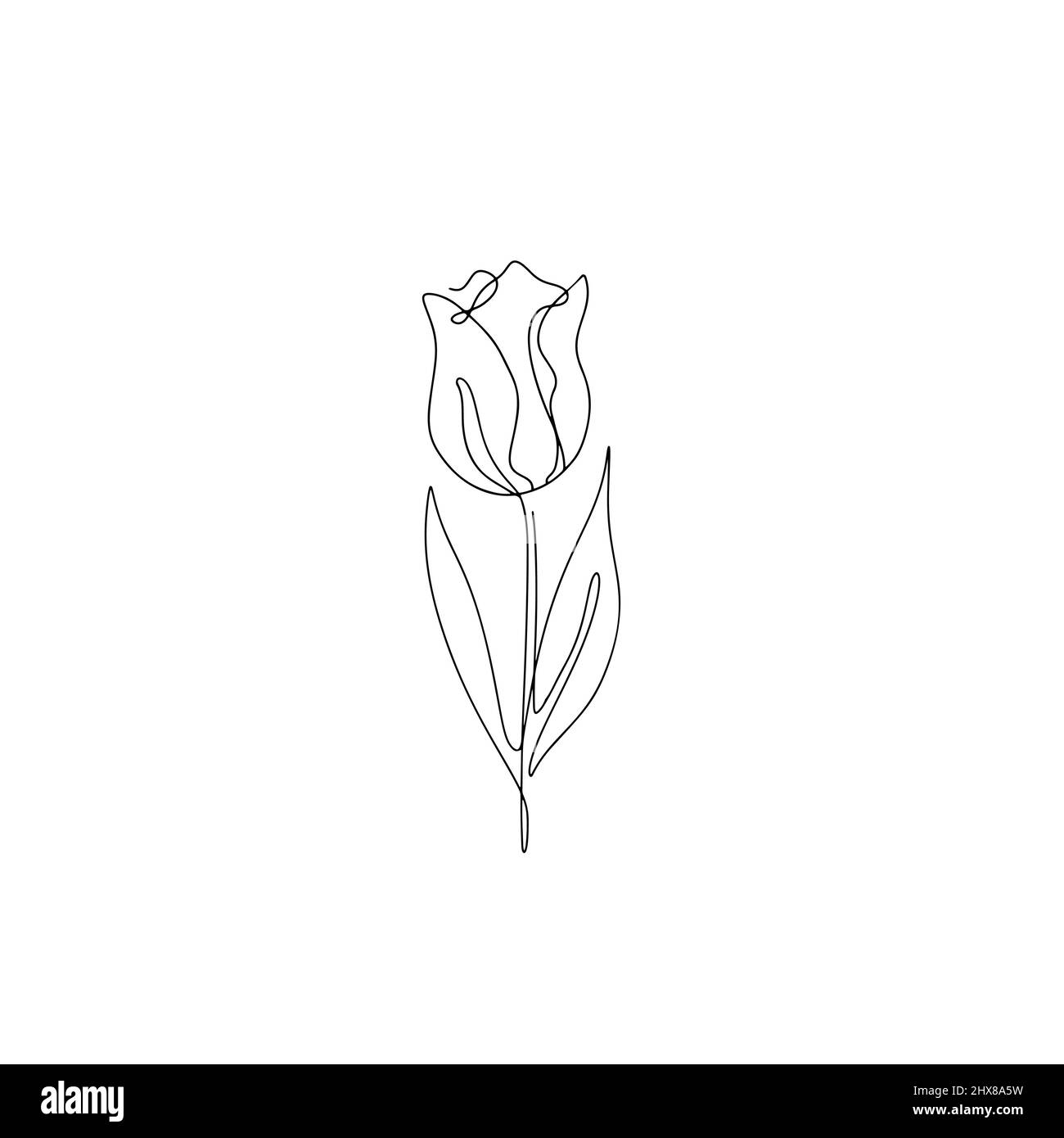 Tulip flower one continuous Black and White Stock Photos & Images - Alamy