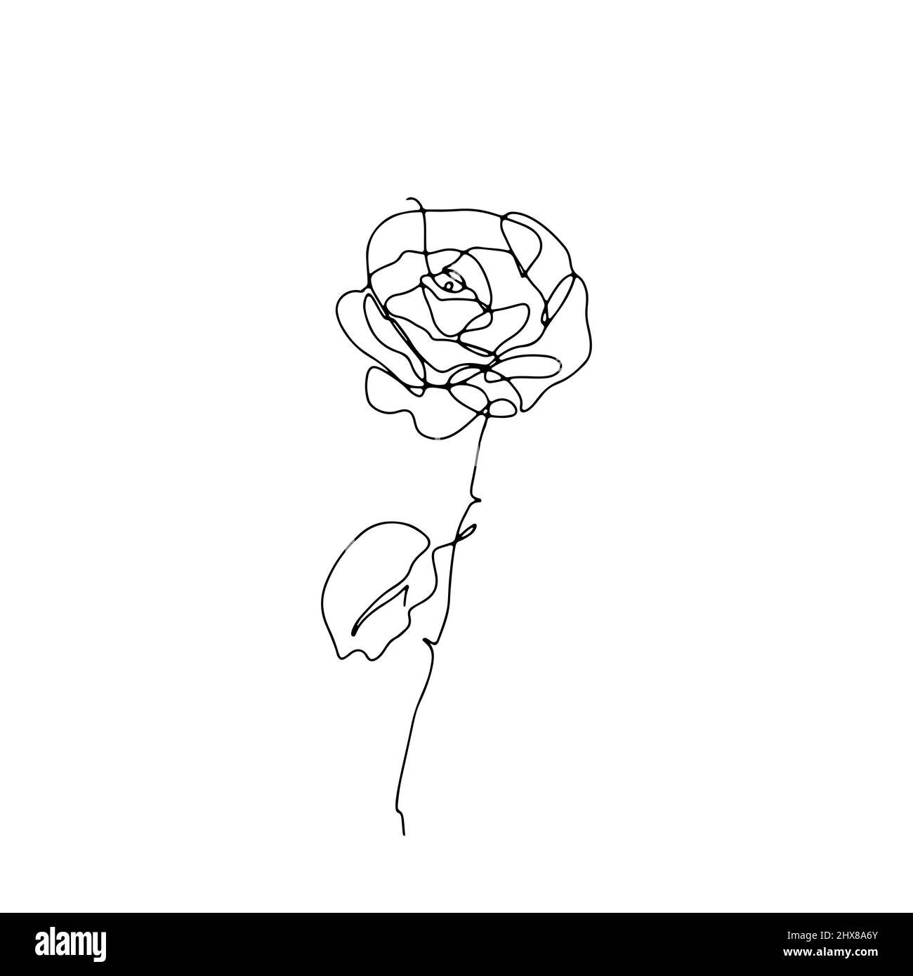 One single line rose flower drawing Stock Vector Image & Art - Alamy