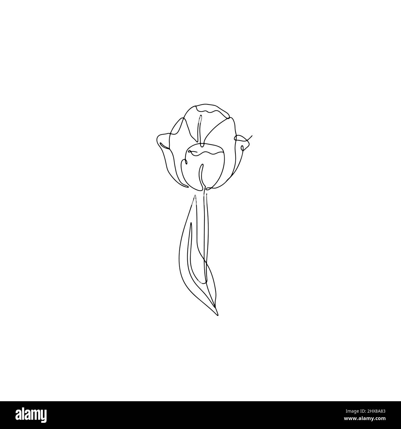 One line drawing tulip. Hand drawn single line flower Stock Vector ...