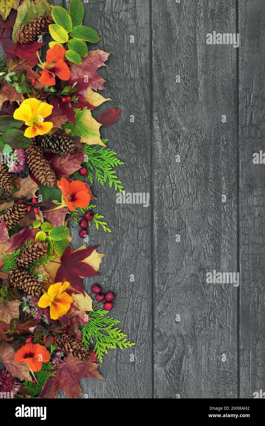 Rustic Autumn leaf, flower, pine cone and berry fruit natural abstract ...