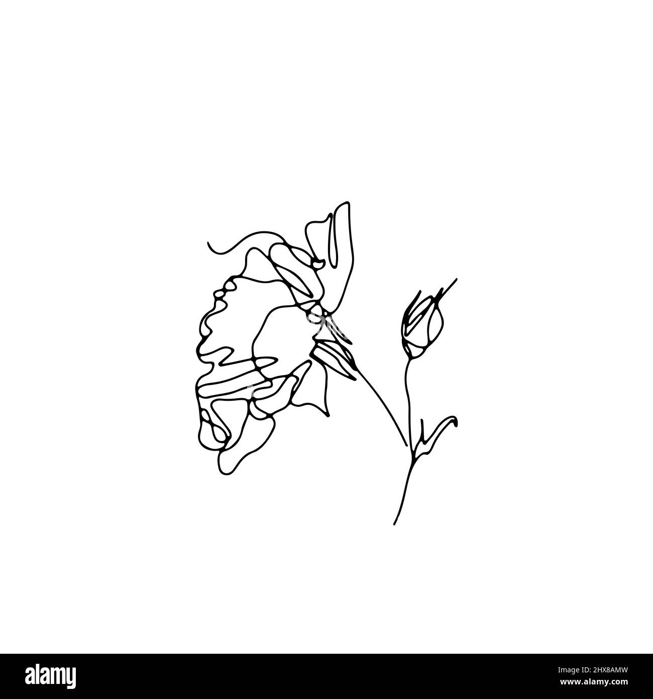 One single line rose flower drawing Stock Vector Image & Art - Alamy